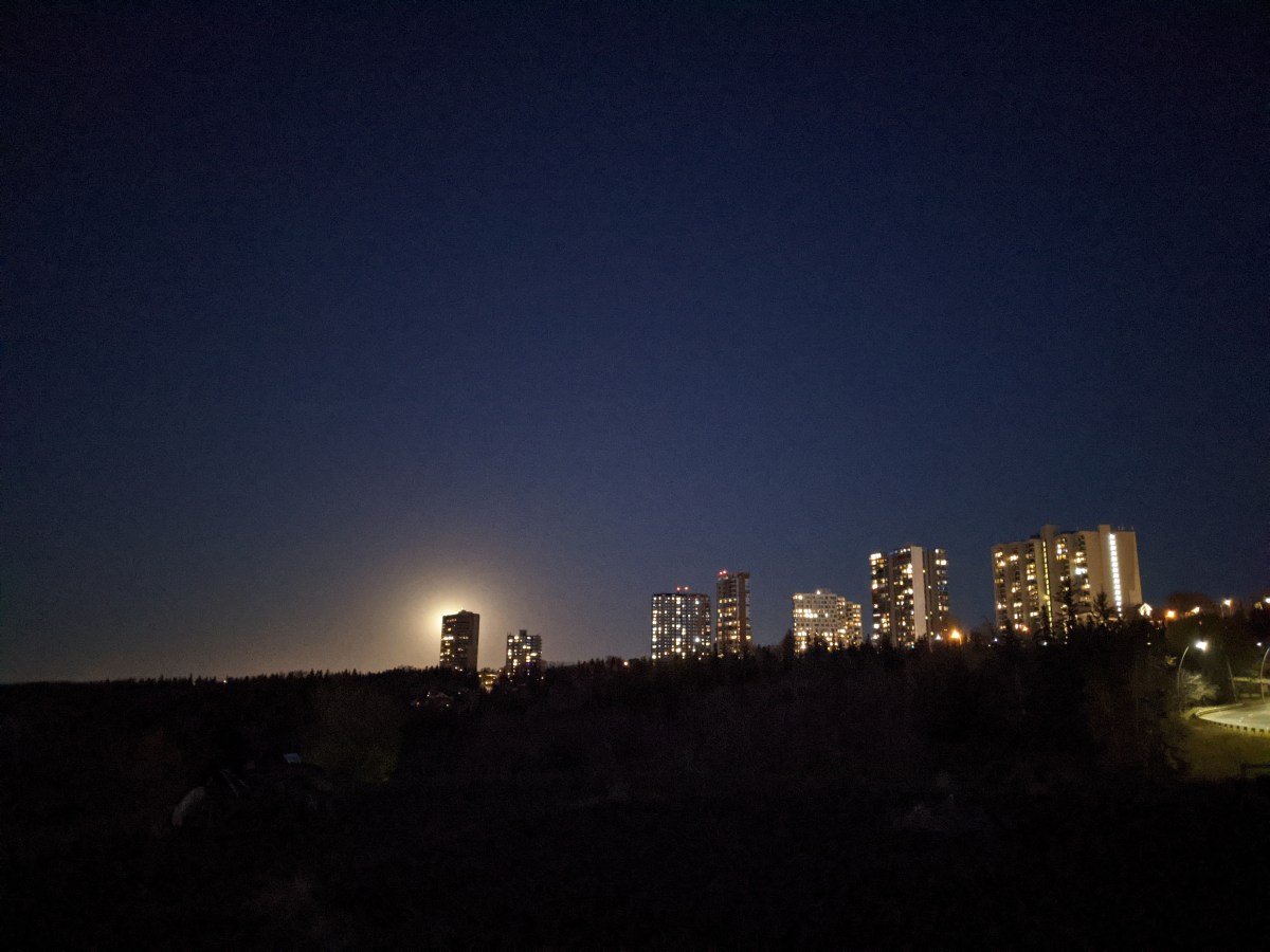 Full Moon Picnic – Not Ladylike Community