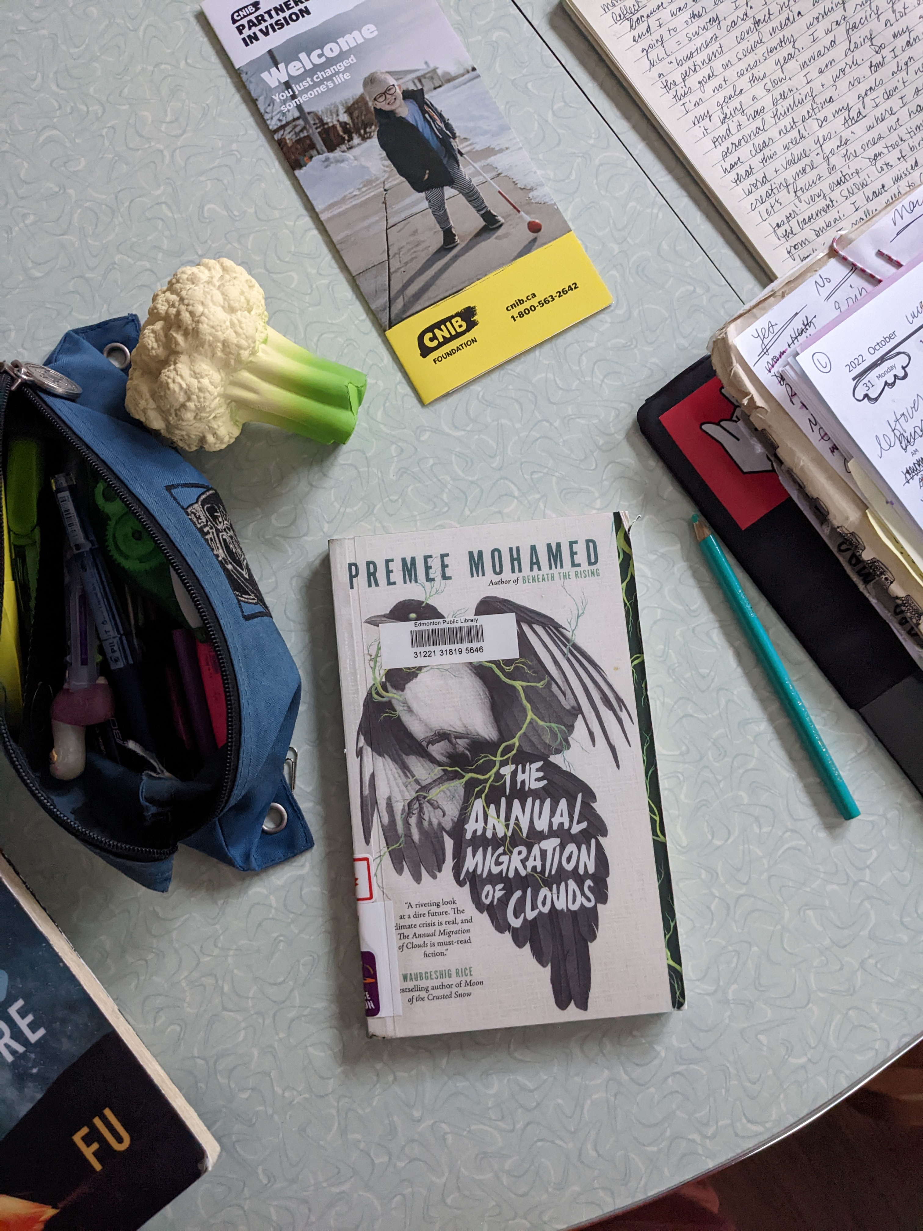 How To Read 80 Books in a Year – Not Ladylike Community